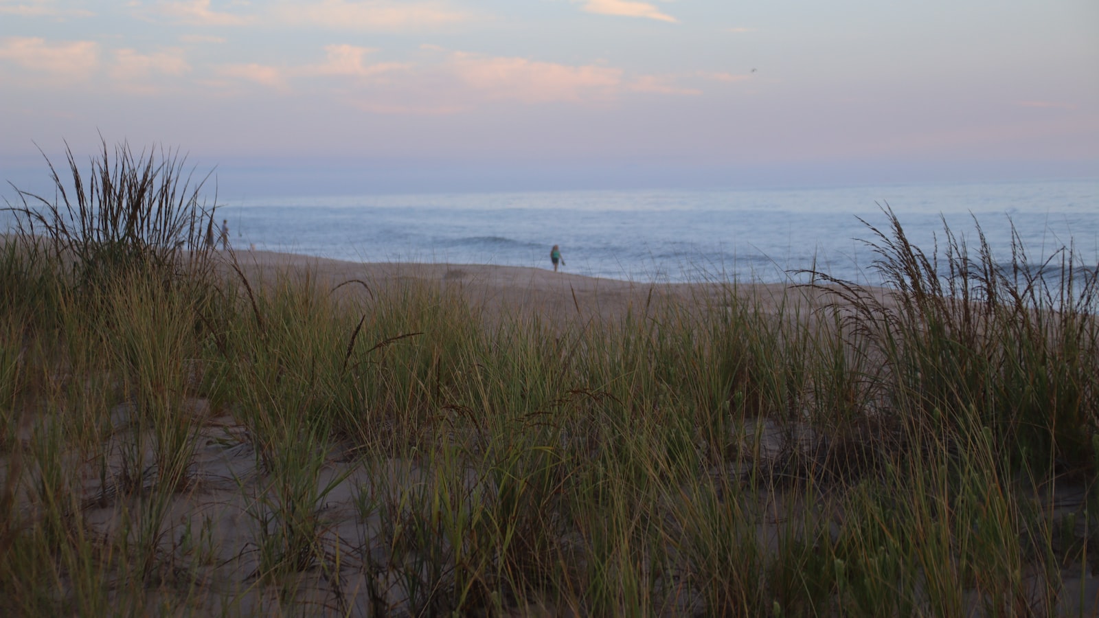 IMCED publica convocatoria para estudiantes de nuevo ingreso – En Michoacán
